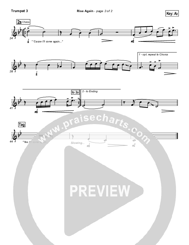 Rise Again (Dallas Holm) - PraiseCharts